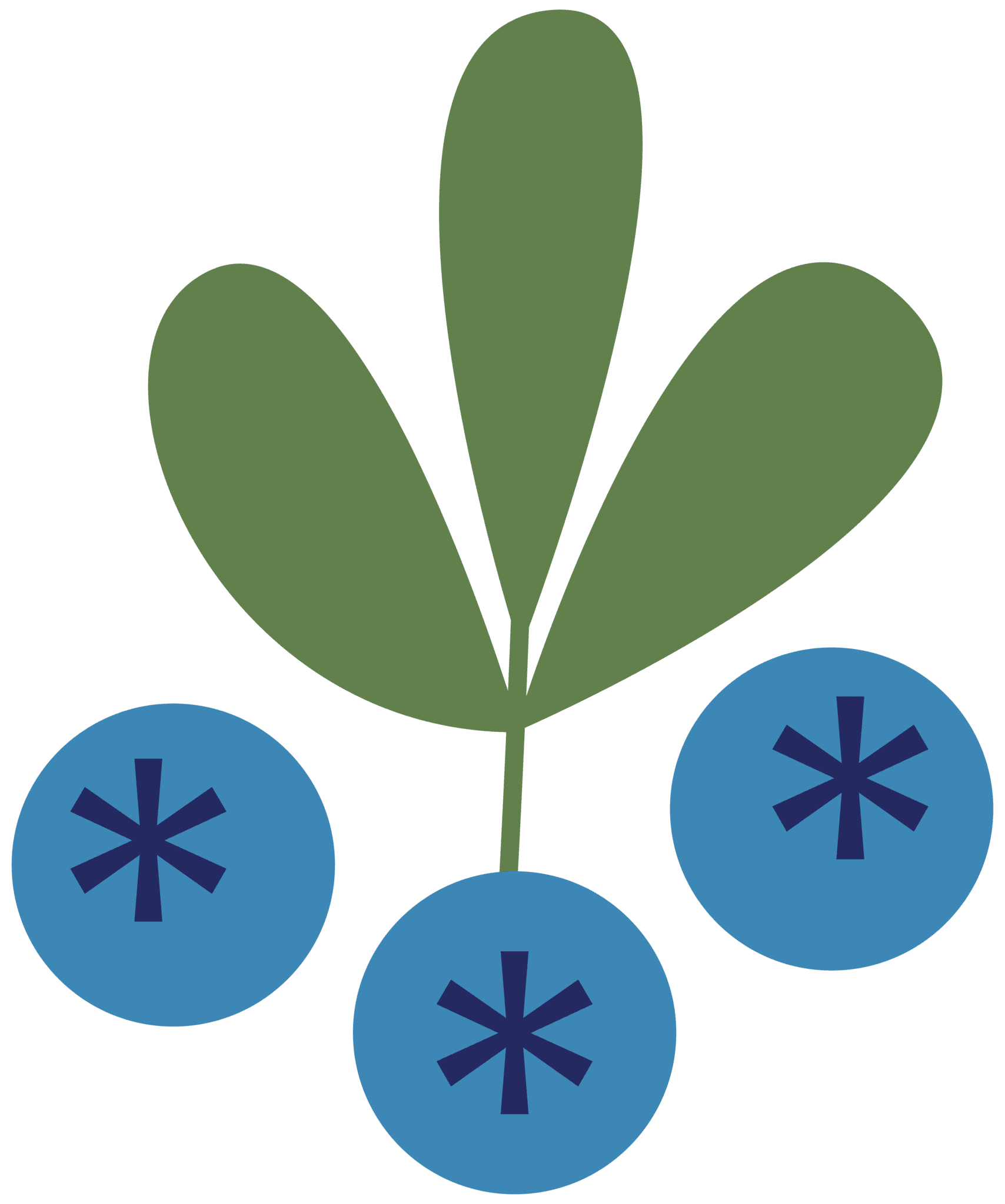 The Barry Team | Artifakt Digital, Inc.